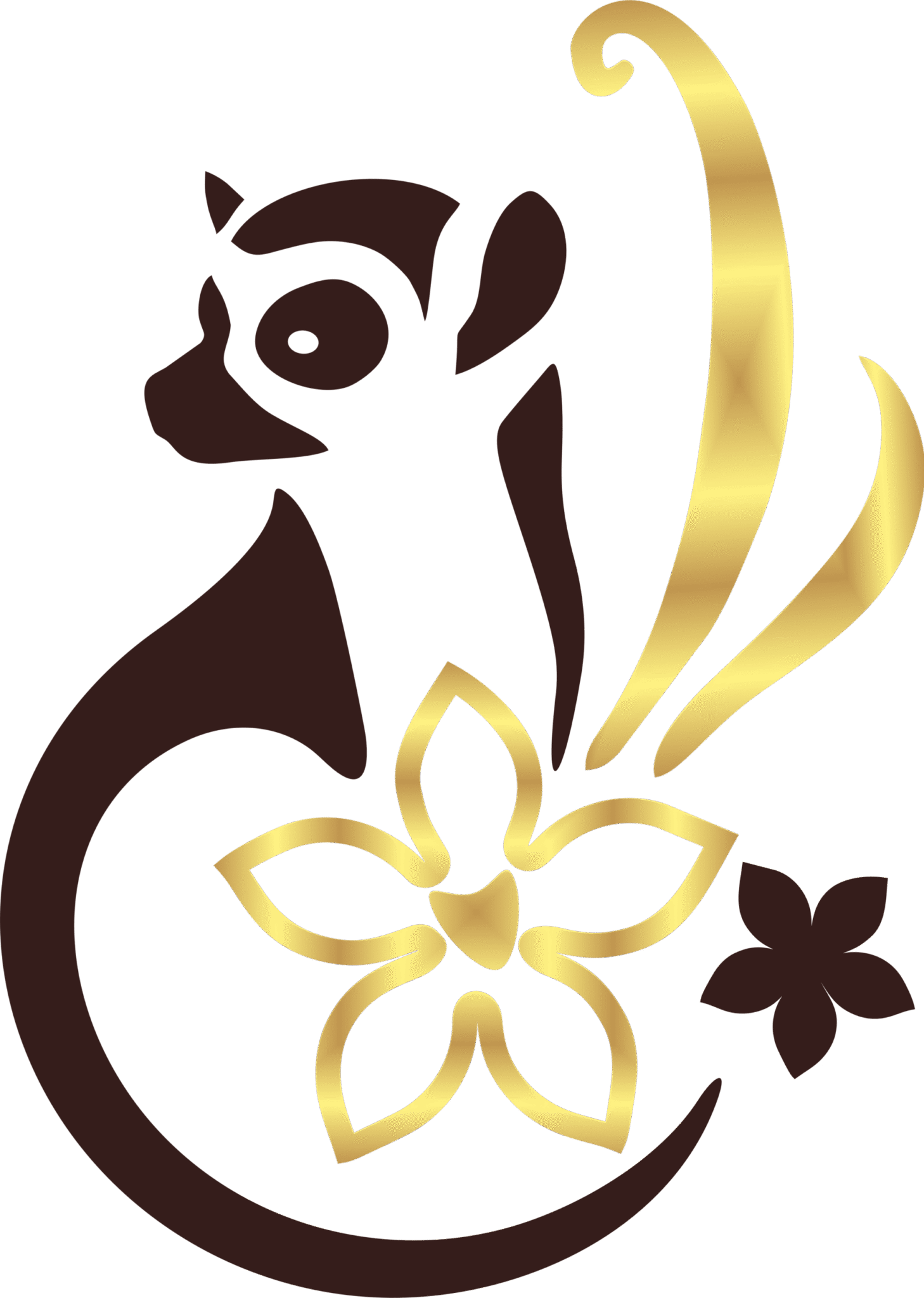 ACCUEIL - Noble Gousse